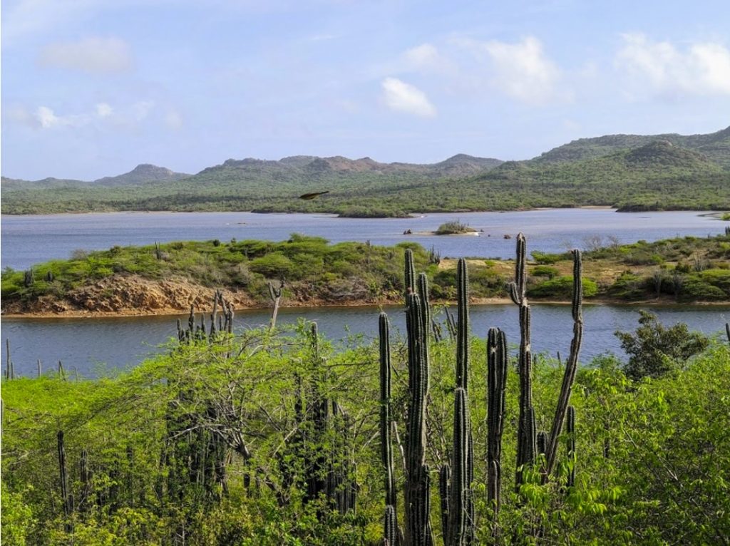 Travellers’ Tales – U3A Carrick